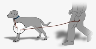 Tired Of Tangled Leashes - Leash Tangle PNG Image | Transparent PNG ...