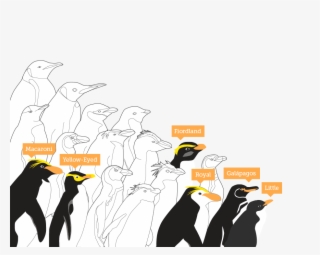 Predators - King Penguin PNG Image | Transparent PNG Free Download on ...