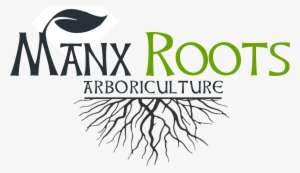 Back To The Roots PNG Image | Transparent PNG Free Download on SeekPNG