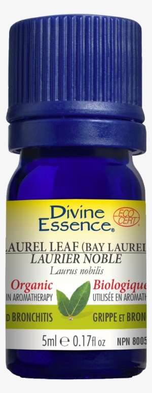 Share - Divine Essence Carrot Organic Essential Oil PNG Image ...