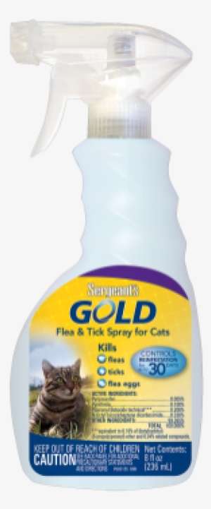 Tick And Flea Season Is Officially Upon Us, So Here's - Flea Vs Tick ...