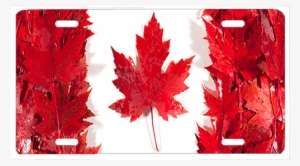 Canadian Flag - Canada Flag License Plate PNG Image | Transparent PNG ...