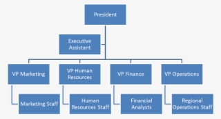Horizontal Organization - Horizontal Structure Of Organization PNG ...