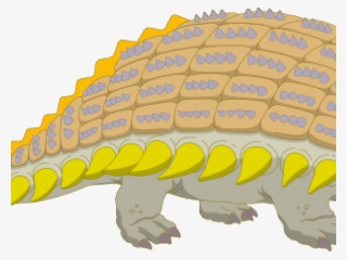 Ankylosaurus PNG Image | Transparent PNG Free Download on SeekPNG