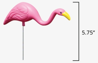 Mini Mingo - Greater Flamingo PNG Image | Transparent PNG Free Download ...