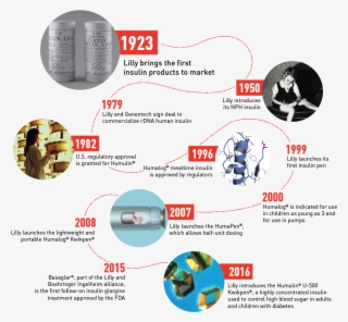History Of Lilly Insulin Timeline Infographic - Circle PNG Image ...
