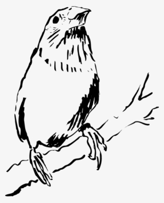 Hawk And Dove Vol - Hawk And Dove Logo Png PNG Image | Transparent PNG ...