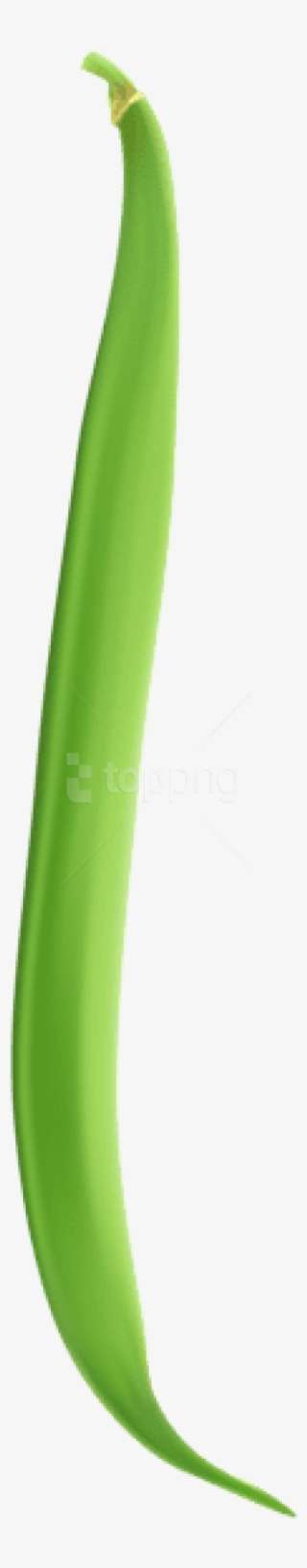 Free Png Download String Bean Png Images Background - Green Bean ...