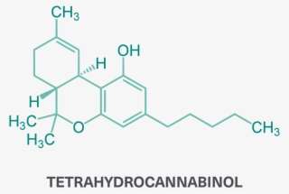Thc Molecule PNG Image | Transparent PNG Free Download on SeekPNG