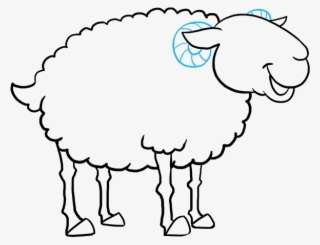Scroll Easy Drawings - Female Sheep Drawing PNG Image | Transparent PNG ...