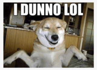 Dog Spicymeme Lit Doge Spooky Freetoedit - Cursed Dog Image Meme PNG ...