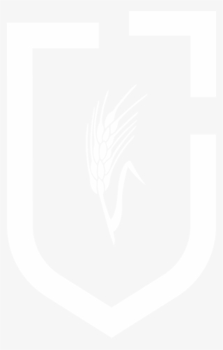 Diploma - Emblem PNG Image | Transparent PNG Free Download on SeekPNG