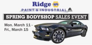 Saleen S281 PNG Image | Transparent PNG Free Download on SeekPNG
