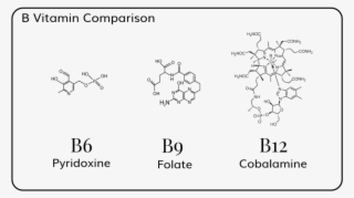 Vitamin B Comparison - Vitamin B Complex Structure PNG Image ...