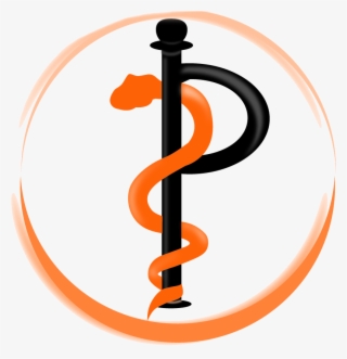 Princetonpo - Circle PNG Image | Transparent PNG Free Download on SeekPNG