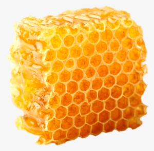 Download Honeycomb - Bfdi Honey Comb | Transparent PNG Download | SeekPNG