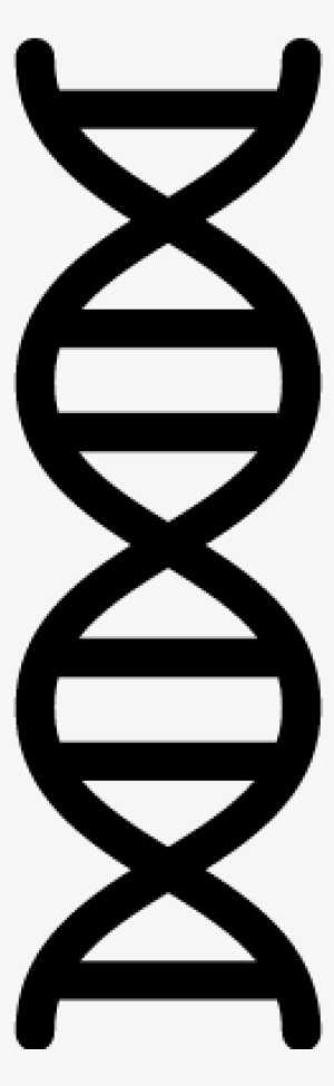 Dna String Vector - Dna String PNG Image | Transparent PNG Free ...