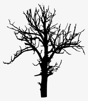 Tree Drawing Png PNG Images | PNG Cliparts Free Download on SeekPNG