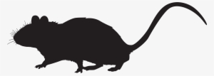 Mouse Silhouette Png Clip Art Image - Photography PNG Image ...
