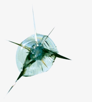 Glass Damage - Superglass Windshield Repair Uk PNG Image | Transparent ...
