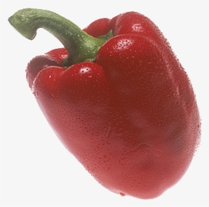Pepper Free Png Image - Single Vegetables With Names PNG Image ...