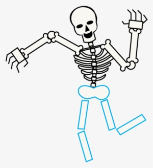 Drawn Skeleton Line Drawing - Cartoon Skeleton Transparent PNG Image ...