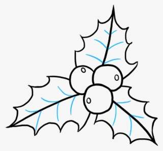 Line Drawing Of Green Holly Leaves With Red Berries - Illustration PNG ...