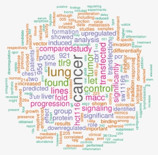 Target Png Logo - Orange Target Png PNG Image | Transparent PNG Free ...