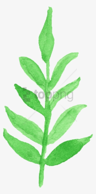 Watercolor Leaves Transparent Background PNG Image | Transparent PNG ...