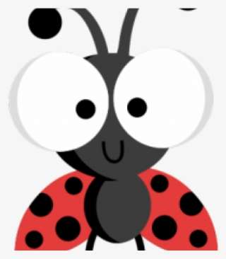 Ladybug PNG Images | PNG Cliparts Free Download on SeekPNG