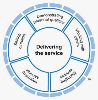 625 X 640 7 - Nhs Leadership Framework 2016 PNG Image | Transparent PNG ...