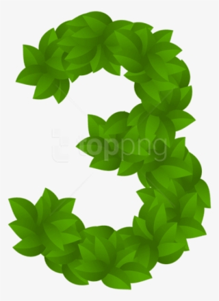 Sage Leaves Transparent PNG Image | Transparent PNG Free Download on ...