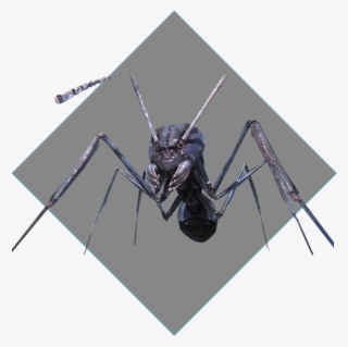 Aggressive Alien Species Α - Ant PNG Image | Transparent PNG Free ...