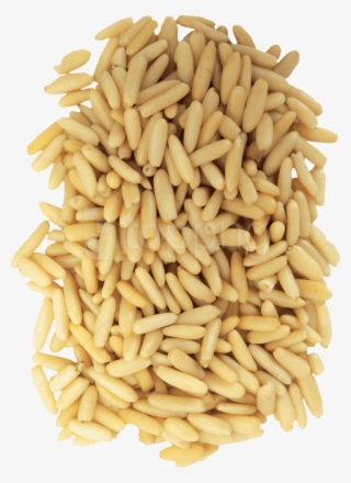 Download Wheat Png Images Background - Rice PNG Image | Transparent PNG ...