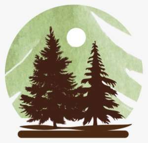 "offering Hope In A Bottle With Our - Christmas Tree PNG Image ...