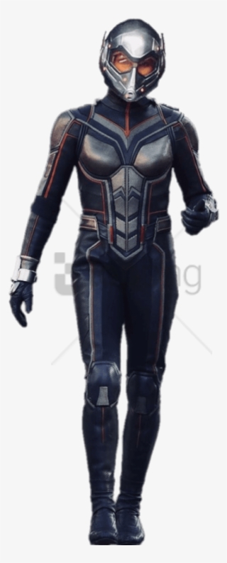 Fot Wasp - Dnd 5e Giant Wasp PNG Image | Transparent PNG Free Download ...