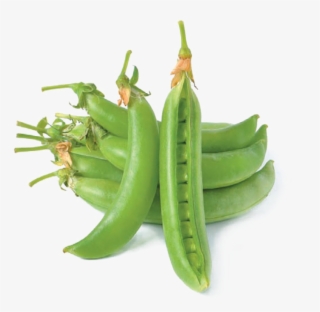 Pea Png Hd Quality - Snap Pea PNG Image | Transparent PNG Free Download ...