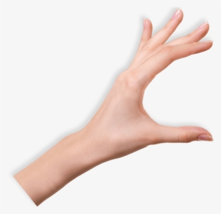 Png Hd Of Hands Transparent Hd Of Hands Png Images - Hand Hd Png PNG ...