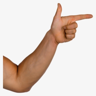 6649, Hands - Sign Language PNG Image | Transparent PNG Free Download ...