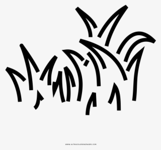 Grass Coloring Page - Gambar Lukisan Rumput PNG Image | Transparent PNG ...