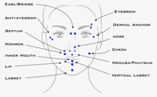 Types Of Piercings - Diagram PNG Image | Transparent PNG Free Download ...