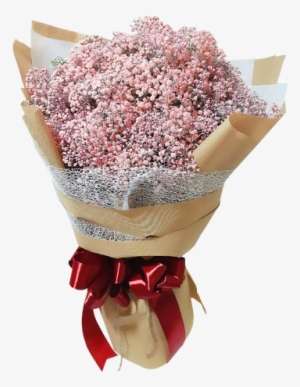 Medium Size Pink Baby Breath - Flower PNG Image | Transparent PNG Free Download on SeekPNG
