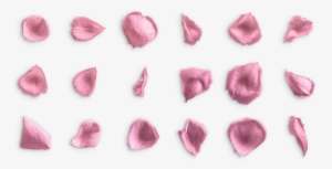 Visual Element - Graphic Design PNG Image | Transparent PNG Free ...