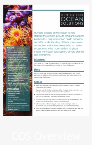 Our Fact Sheets - Graphic Design PNG Image | Transparent PNG Free ...