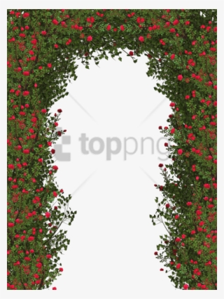 Free Png Rose Flower Tree Png Image With Transparent - Shrub Rose ...