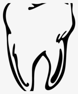 Drawn Teeth Tooth Line - Tooth Drawing PNG Image | Transparent PNG Free ...