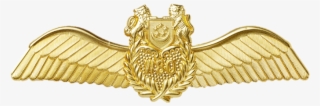Rsaf - Golden Eagle PNG Image | Transparent PNG Free Download on SeekPNG