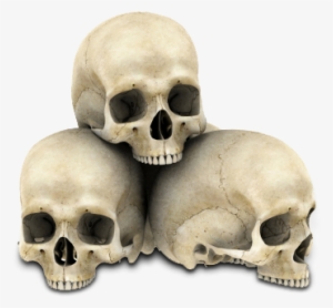 Stacked Skulls - Transparent Stack Of Skulls PNG Image | Transparent ...