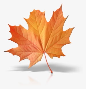 One Fall Leaf Png Clip Art - Brown Fall Leaf Clipart PNG Image ...