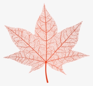 Autumn Leaf Png Transparent Image - Acorn Autumn Leaf PNG Image ...